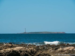 Things to Do in Punta del Este Uruguay Cruise Port • Albom Adventures