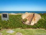 Things to Do in Punta del Este Uruguay Cruise Port • Albom Adventures