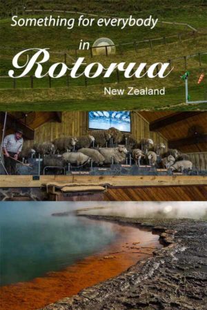 20 Fun Things to Do in Rotorua: A First Timer's Guide