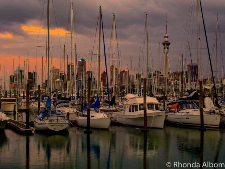 30 Fun Things to Do in Auckland at Night