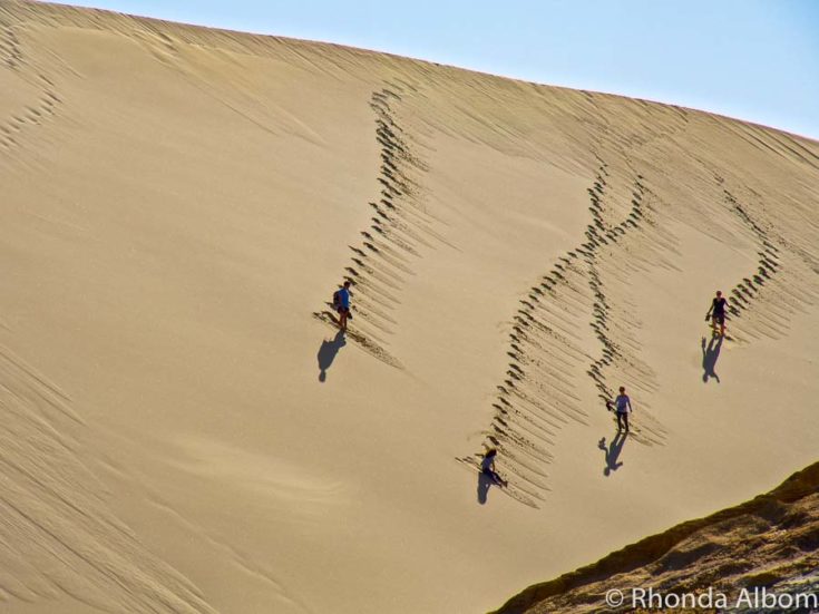 Sandboarding at Te Paki Sand Dunes, New Zealand