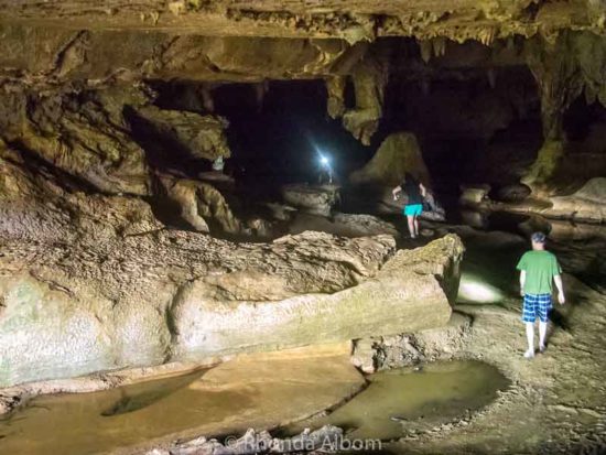 Exploring 2 Waipu Caves: Comparing Glow Worm Tour Vs Free Cave