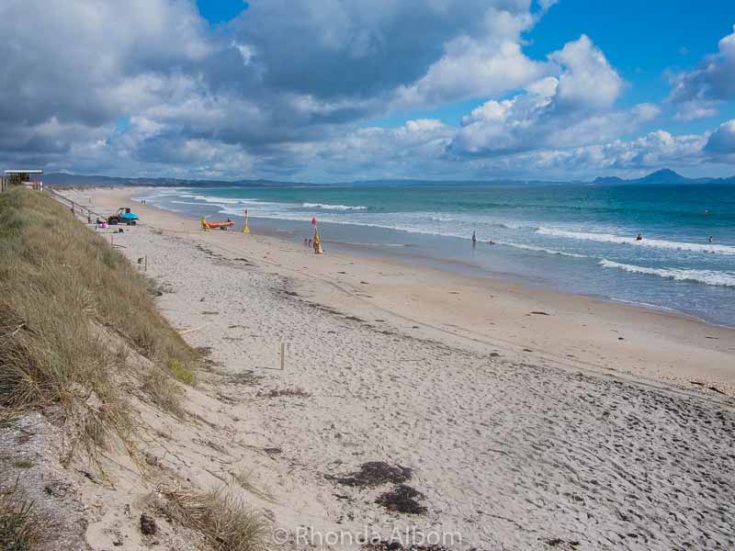 15 Fun Things to Do in Waipu & Bream Bay for Everyone