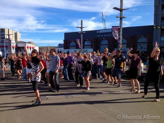 Heaps of Free Things to Do in Wellington New Zealand