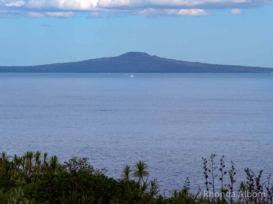 Tiritiri Matangi Island: An Open Bird Sanctuary in Auckland