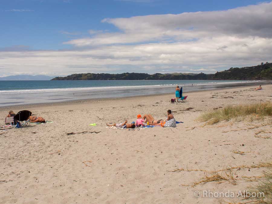 Waiheke Island Beaches, Paradise in New Zealand