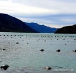 Things to Do in Nelson: Geographical Centre of New Zealand