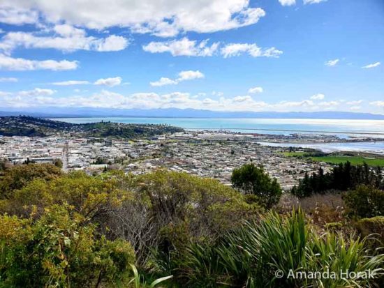 Things to Do in Nelson: Geographical Centre of New Zealand