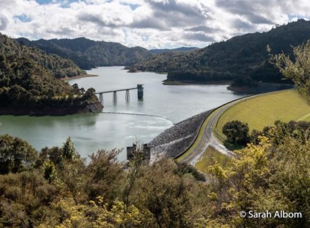 12 Unique Things to Do in South Auckland: Unmissable Fun