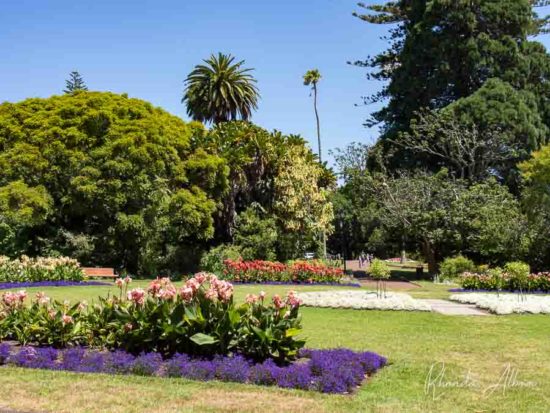 18 Best Parks in Auckland for Walking, Hiking, and Natural Beauty