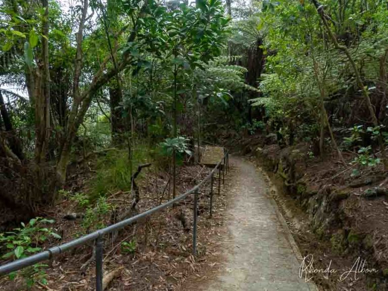 18 Best Parks in Auckland for Walking, Hiking, and Natural Beauty