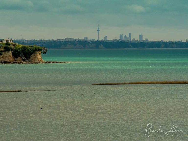 18 Best Parks in Auckland for Walking, Hiking, and Natural Beauty