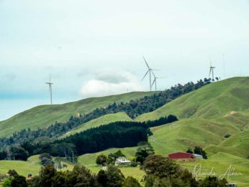 17 Things to Do in Raglan: Even if You're Too Old to Surf