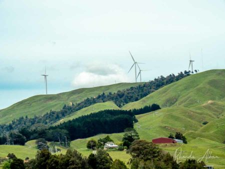 17 Things to Do in Raglan: Even if You're Too Old to Surf