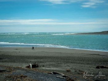 17 Things to Do in Raglan: Even if You're Too Old to Surf