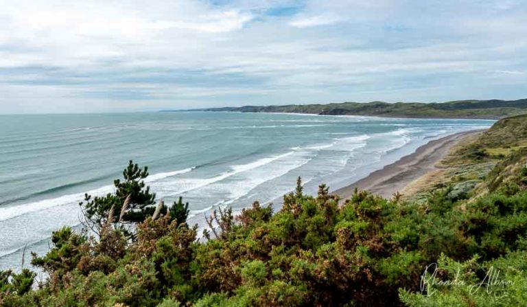 17 Things to Do in Raglan: Even if You're Too Old to Surf
