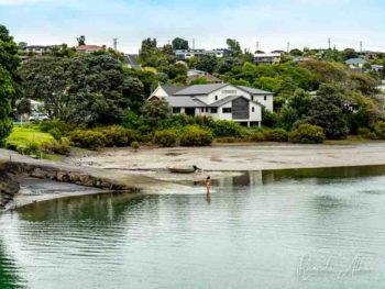 17 Things to Do in Raglan: Even if You're too old to surf