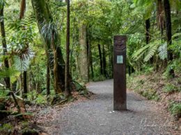 17 Things to Do in Raglan: Even if You're Too Old to Surf