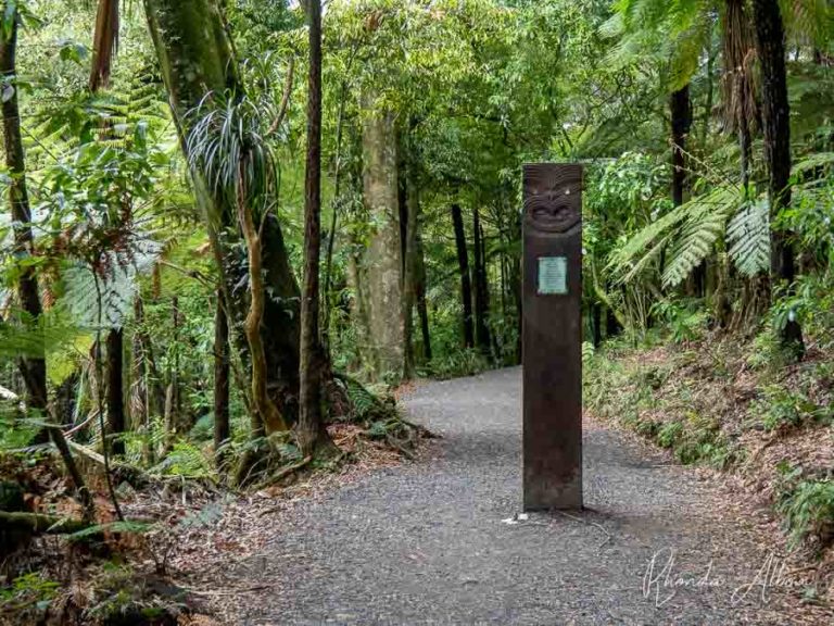 17 Things to Do in Raglan: Even if You're Too Old to Surf