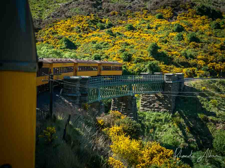 Our Taieri Gorge Railway Adventure from Dunedin Railway Station