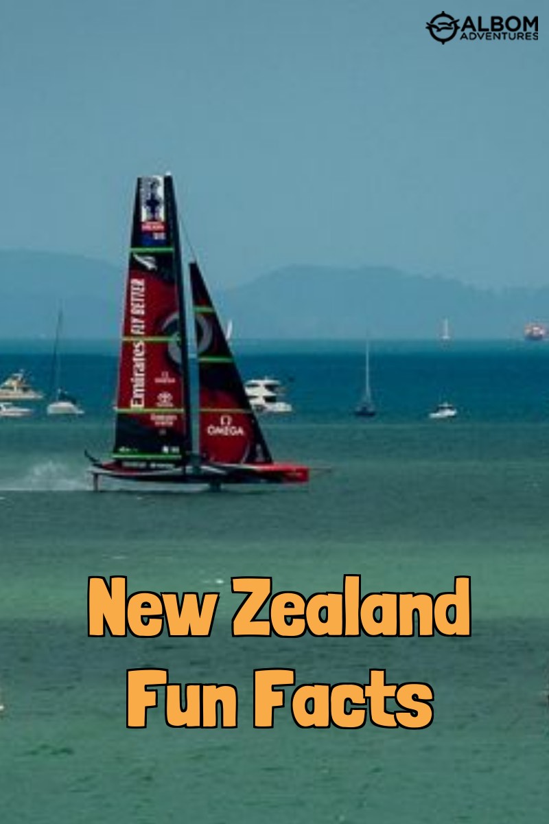 Interesting Facts About New Zealand - World Records and Fun Trivia