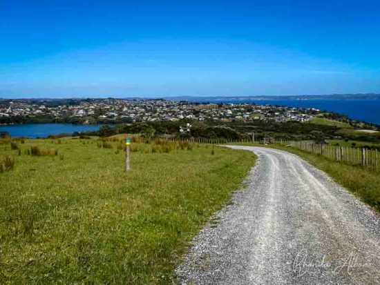 Shakespear Park: Why It's Our Favourite Auckland Park