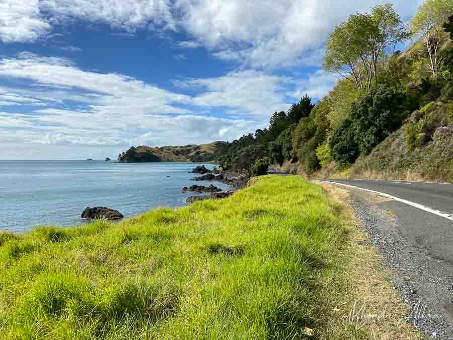 27 Things to Do in Coromandel - Road Trip Highlights • Albom Adventures