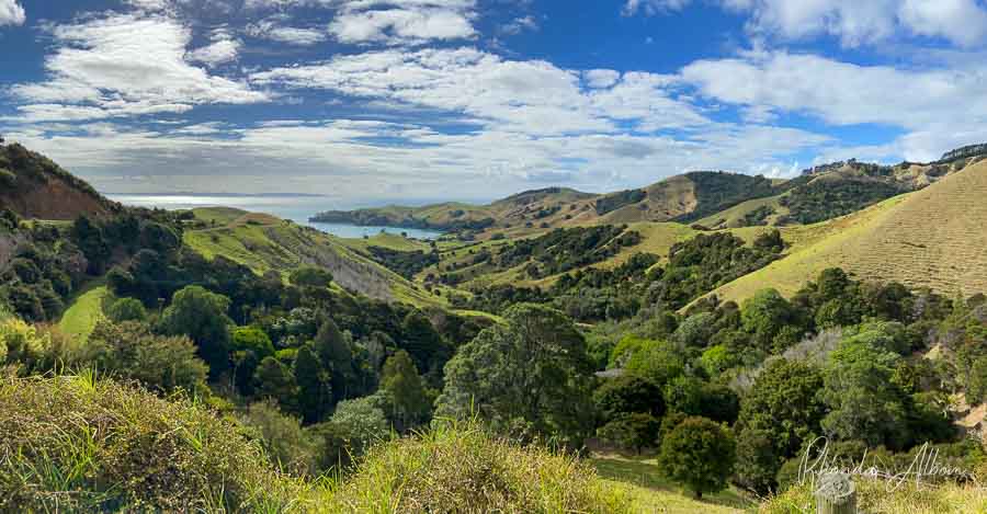 27 Things to Do in Coromandel - Road Trip Highlights • Albom Adventures