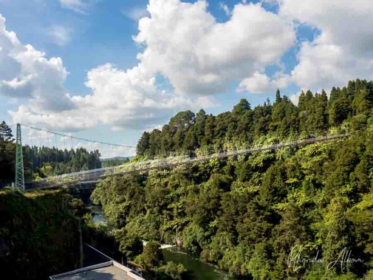 Auckland to Rotorua Drive: 9 Stops on an Epic Journey