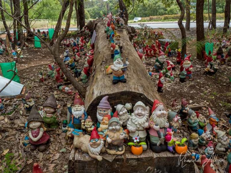 11 Things to Do in Albany WA: Nature's Beauty & Hidden Gems