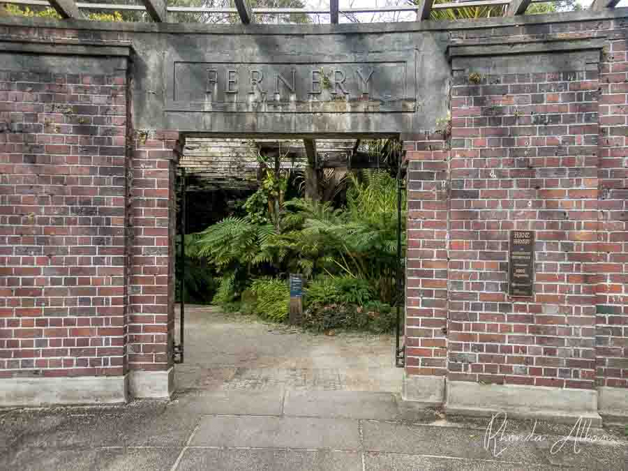Domain Wintergardens: Natural Beauty in Auckland NZ's Oldest Park