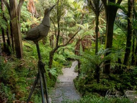 Domain Wintergardens: Natural Beauty in Auckland NZ's Oldest Park