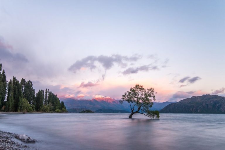 Unique Things to Do in New Zealand: 23 Fascinating Options