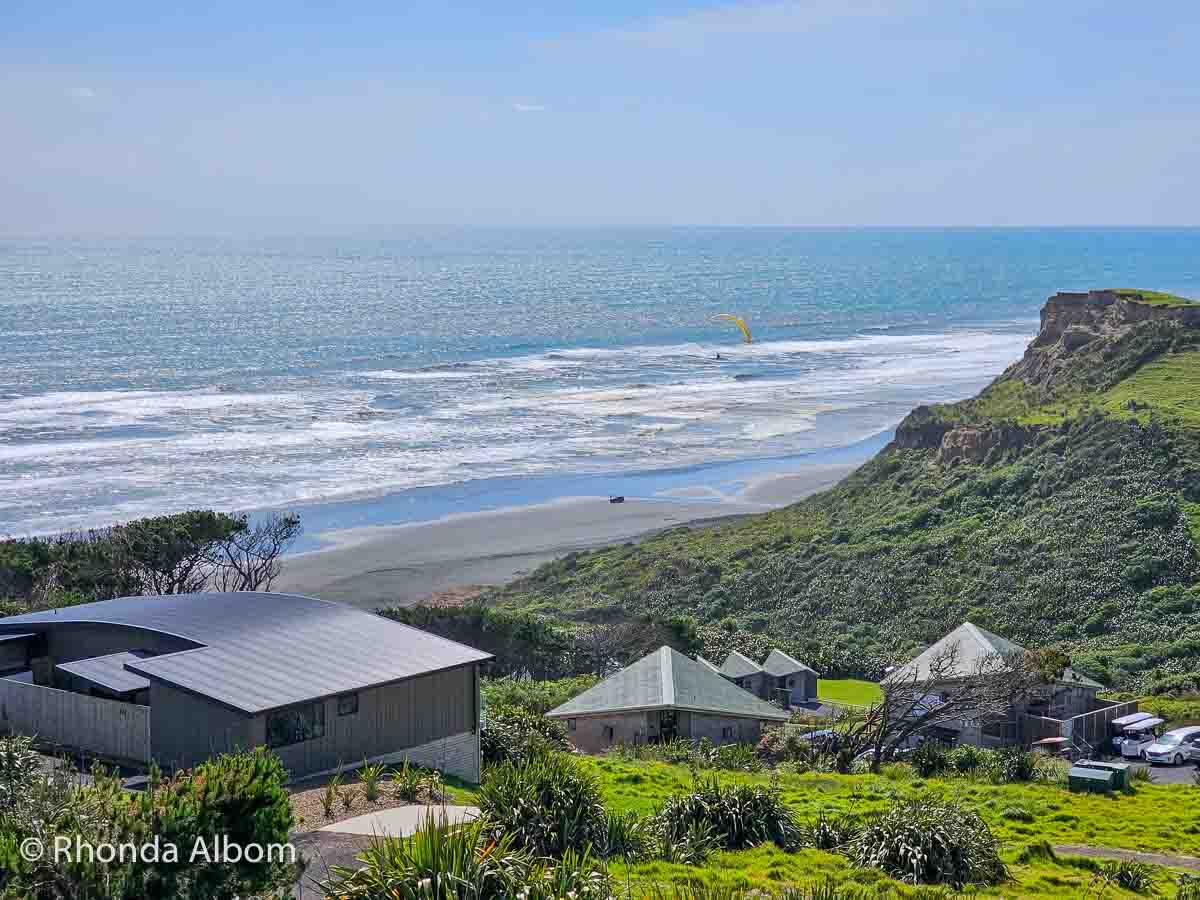 15 Unique Things to Do in South Auckland: Unmissable Fun