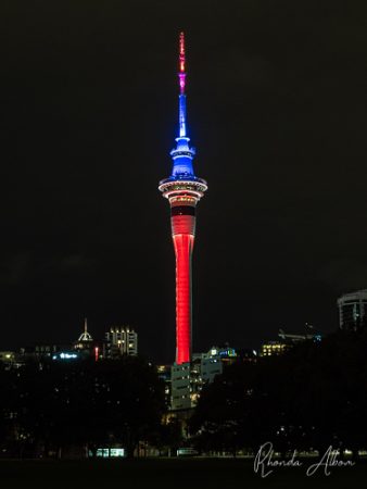 Sky Tower Activities: Five Ways to See the Views from the Top