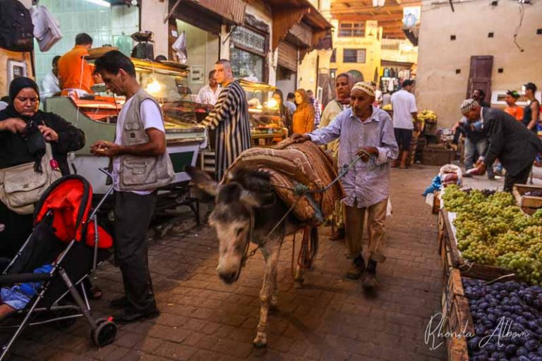 Authentic Fes Medina and 10 Things to Do in Fes Morocco