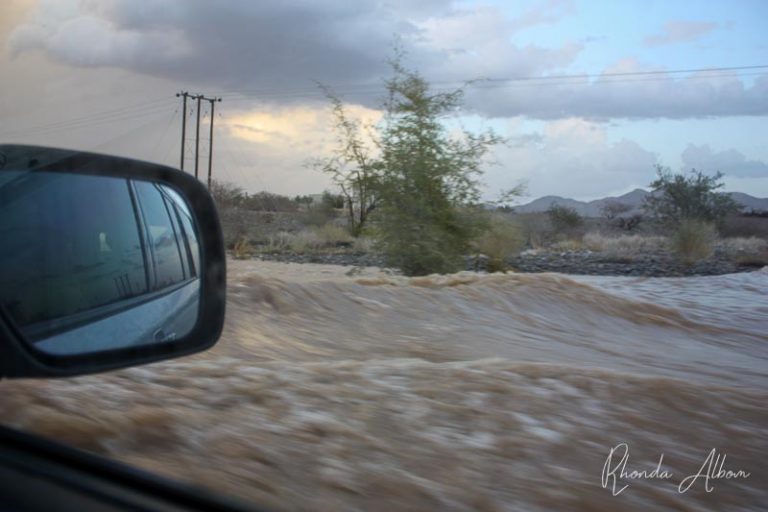 Desert Flood - Freak Storm in Oman as Flood Fills our Road