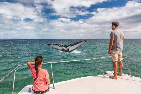 10 Things to Try on Your Caribbean Islands Boating Adventure