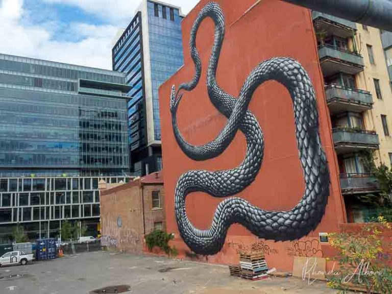 Street Art in Perth: Huge Murals and Sculptures in Australia