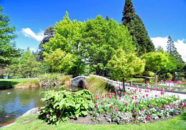 Queenstown in Summer: the Best Activities and Adventures