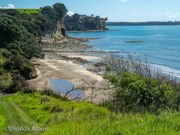 18 Short Walks in Auckland: Stunning Views on the Best Walks