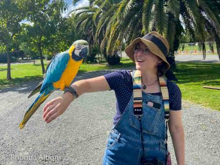 10 Surprising Things to Do in Hamilton NZ - Our Guide to Fun