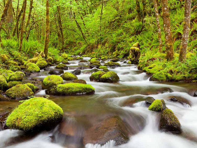 9 Unforgettable Portland Day Trips: Unleashing the Magic