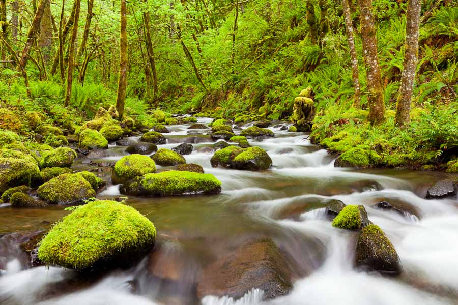 9 Unforgettable Portland Day Trips: Unleashing the Magic
