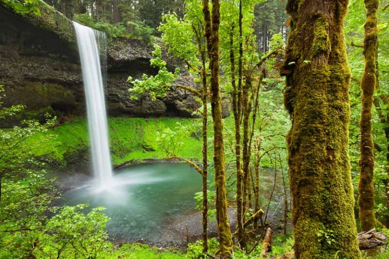 9 Unforgettable Portland Day Trips: Unleashing the Magic