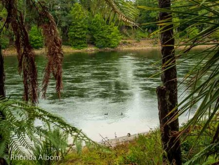 10 Surprising Things to Do in Hamilton NZ - Our Guide to Fun