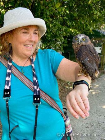 20 Unique Animals in New Zealand That Will Make You Smile