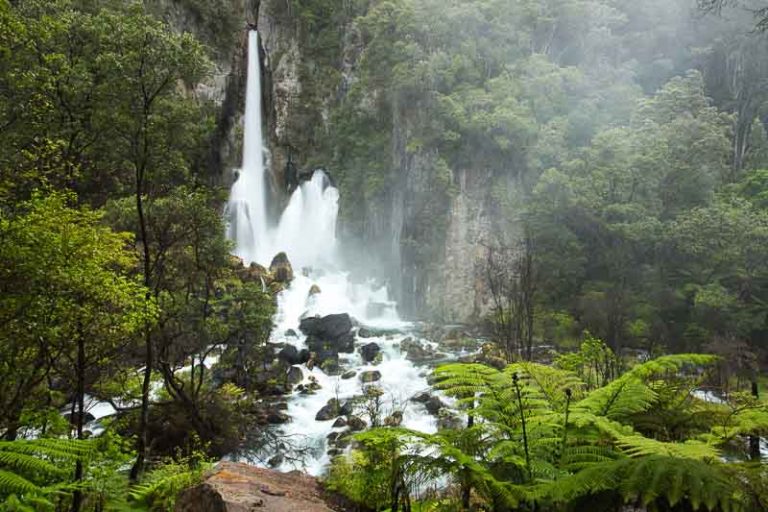18 Amazing Waterfalls in New Zealand: Embrace Nature's Beauty