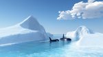 Arctic or Antarctic: Which Polar Adventure is Right for You?