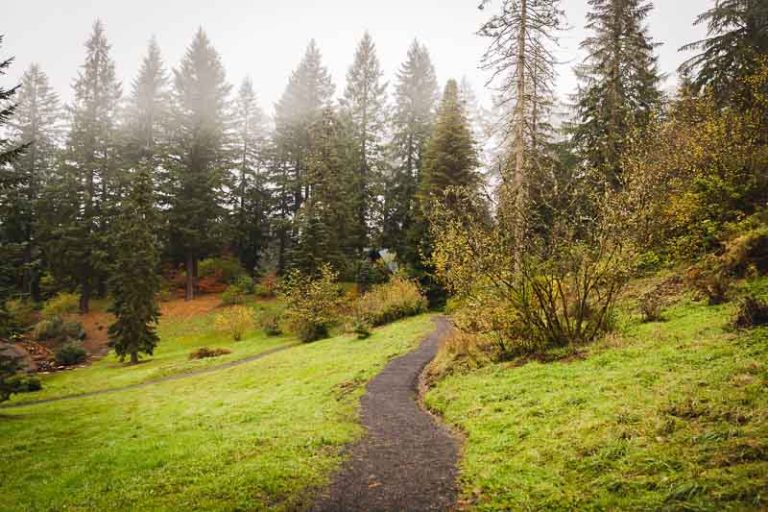 14 Free Things to Do in Portland: Explore its Natural Beauty
